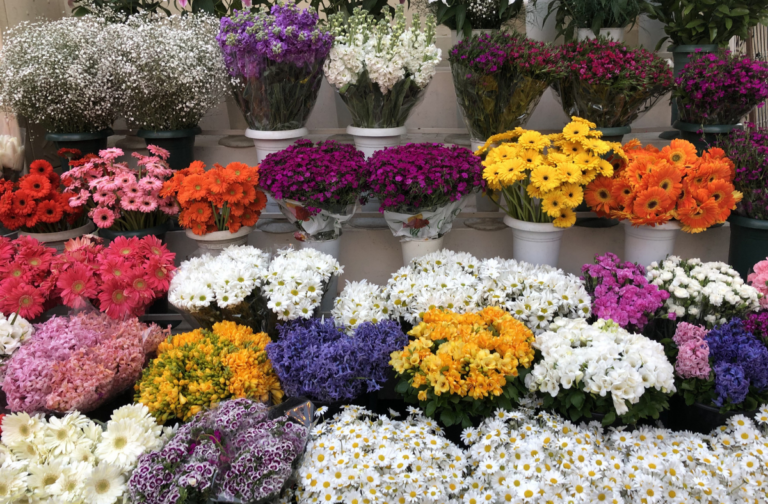 Understanding Floral Color Theory: How to Create Eye-Catching Designs ...